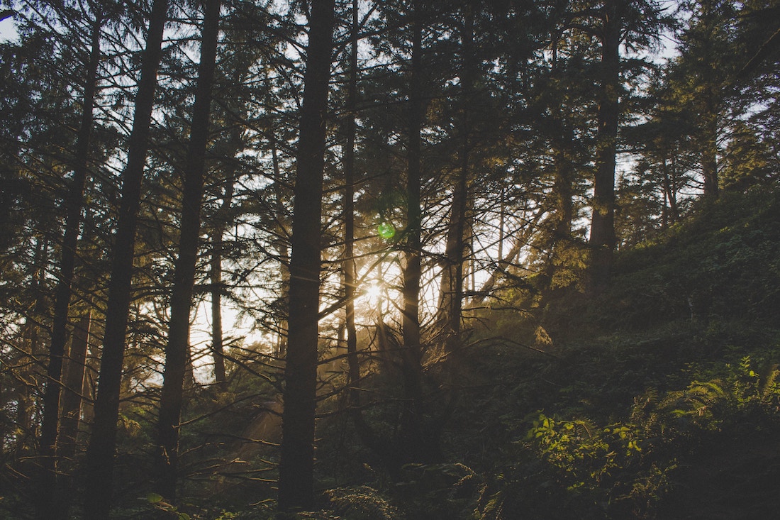 The Endangered Art of Getting Lost and Why it May be Good for Us ...